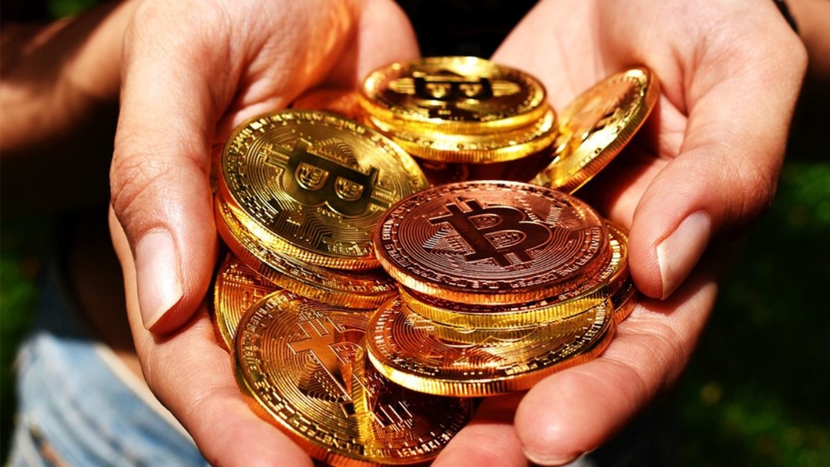 How a Fake Crypto Generator Looks Like - Scam Detector