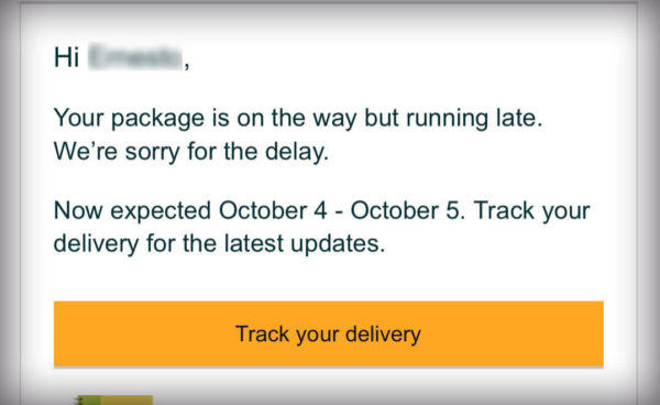 Amazon Prime Scams [FULL LIST 2023] - Scam Detector