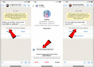 Pig Butchering Scam: What You Need To Know (2023) - Scam Detector