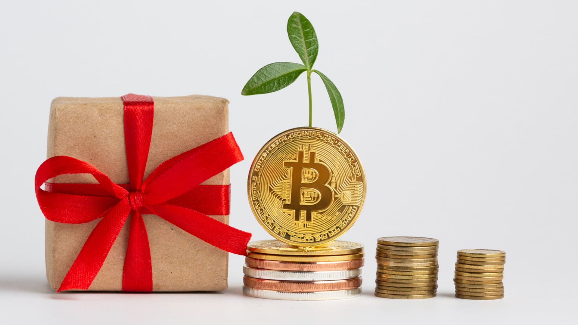 Cryptocurrency Giveaway Scams: How to Identify and Avoid Them Today ...